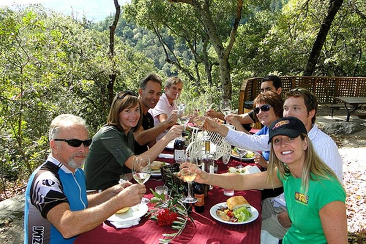 Wine & Bike: A Half-Day Tour Through Istria’s Enchanting Vineyards – My ...